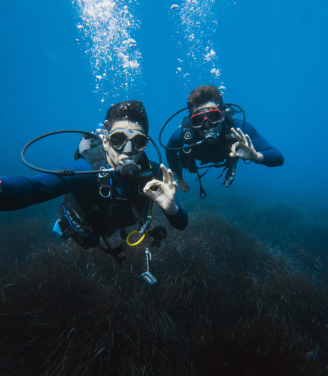 Signe plongée - Guide complet pour une communication efficace sous l'eau